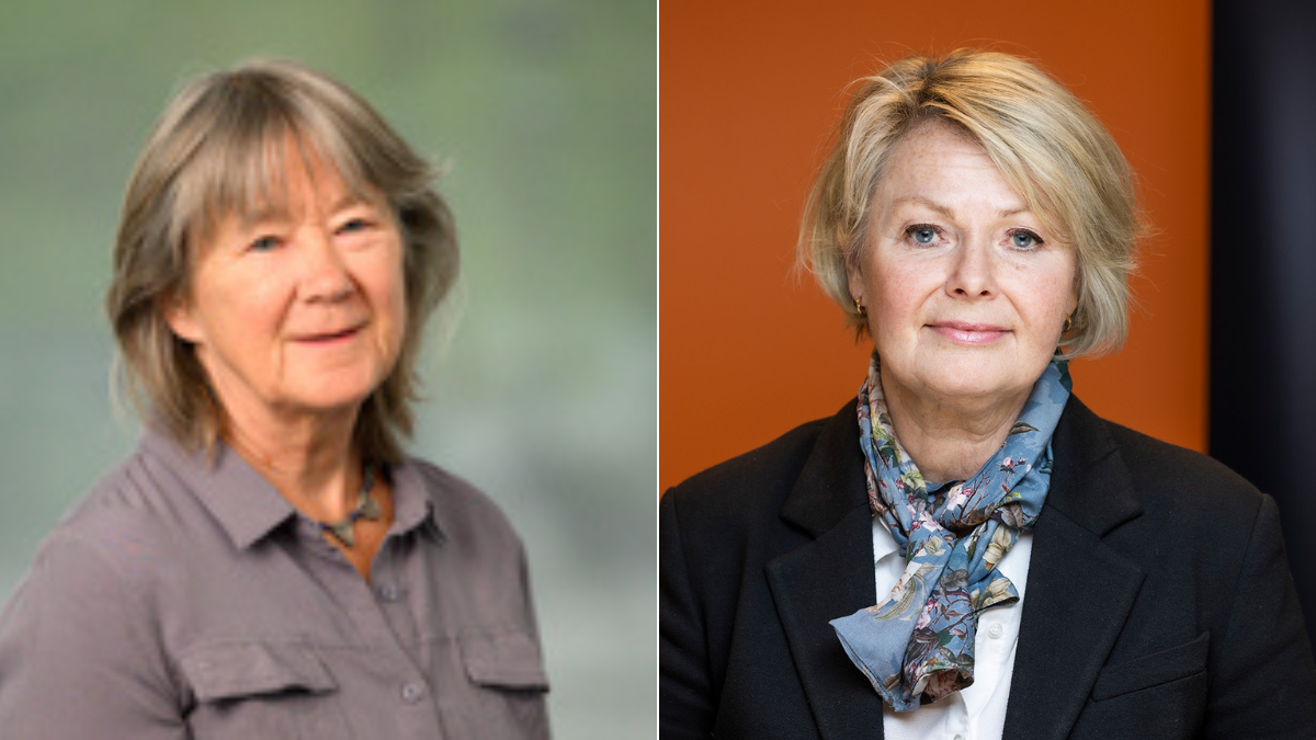 Bekymret for sikkerheten til aktivister i Aserbajdsjan: — En bølge av ...